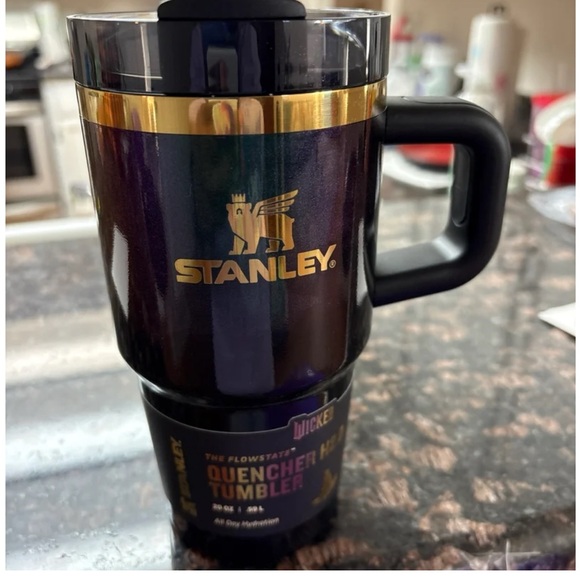 Stanley | Dining | Wicked Movie Elphaba Stanley Cup 2oz Nwt Elphaba For ...